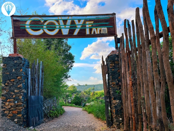 KHU DU LỊCH SINH THÁI COVY FARM: ĐIỂM ĐẾN MỚI NỔI HÚT KHÁCH TẠI XUYÊN MỘC - Ăn chơi Vũng Tàu