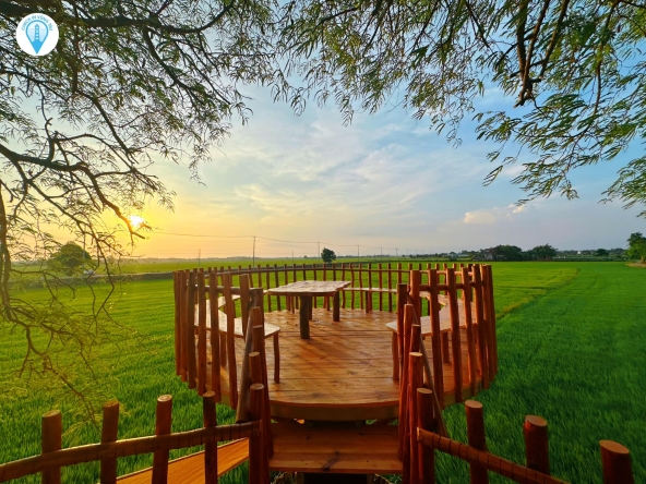 LÚA CAFÉ - ĐÓN GIÓ, CHECK IN GIỮA QUÁN CÀ PHÊ ĐẪM HƯƠNG ĐỒNG NỘI - Ăn ...