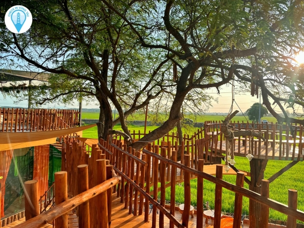 LÚA CAFÉ - ĐÓN GIÓ, CHECK IN GIỮA QUÁN CÀ PHÊ ĐẪM HƯƠNG ĐỒNG NỘI - Ăn ...