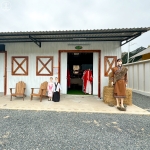 TRẢI NGHIỆM NÔNG TRẠI ĐỘC ĐÁO TẠI GOZOO FARM ĐẤT ĐỎ - Ăn chơi Vũng Tàu