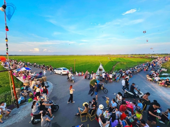 TOP 6 ĐỊA ĐIỂM NGẮM LÚA TẠI VŨNG TÀU KHIẾN BẠN CHỤP ẢNH MỎI TAY - Ăn ...