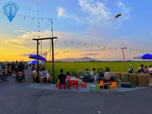 TOP 6 ĐỊA ĐIỂM NGẮM LÚA TẠI VŨNG TÀU KHIẾN BẠN CHỤP ẢNH MỎI TAY - Ăn ...